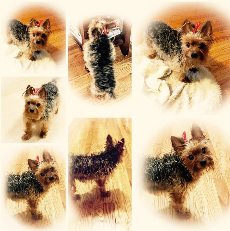 Prayer For Miss Phee – Peaceangel Song