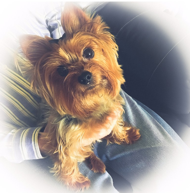 Prayer For Miss Phee – Peaceangel Song